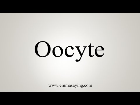How To Say Oocyte