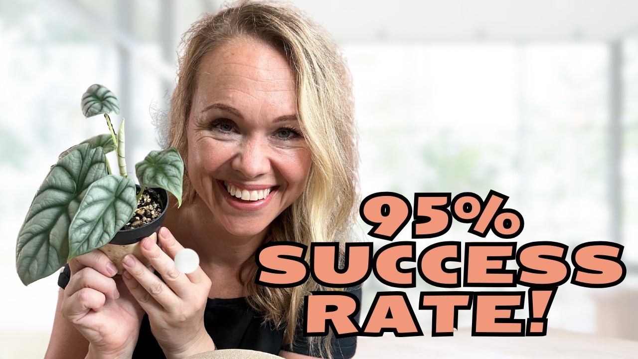 5 Propagation Mistakes That Killed My Cuttings (Now I Have 95% Success)