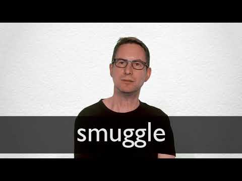 SMUGGLE 释义 | 柯林斯英语词典