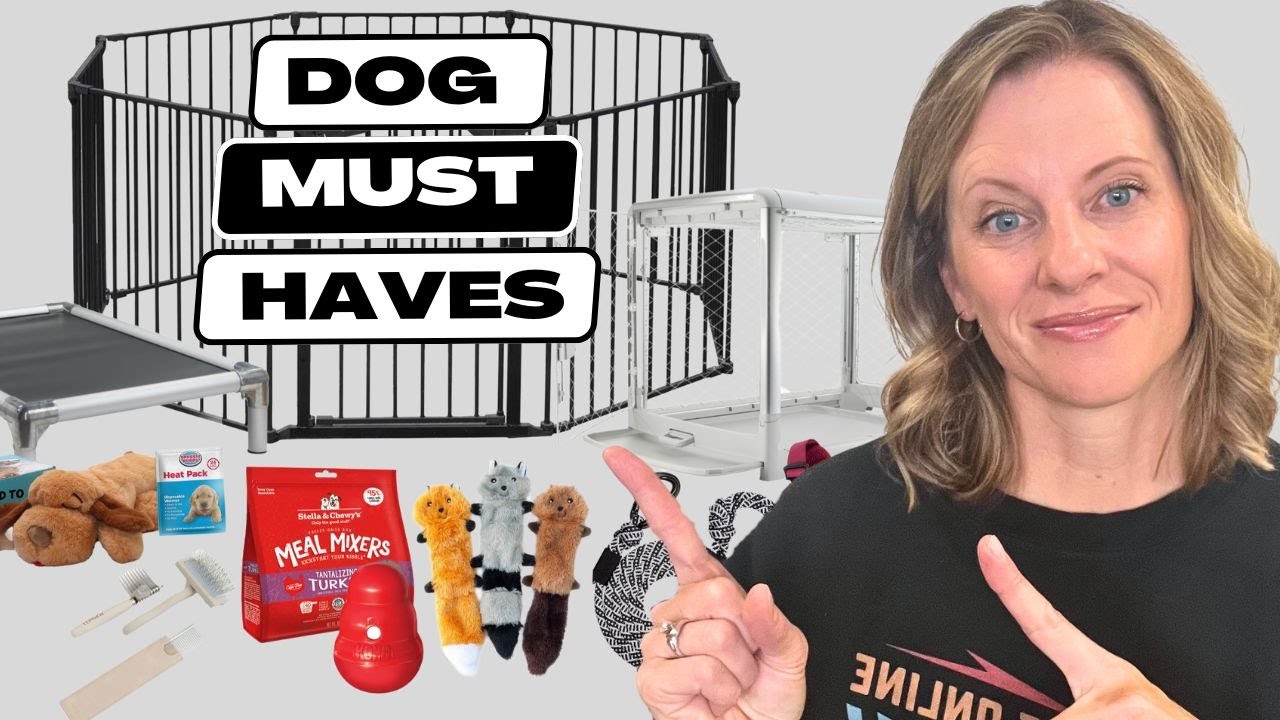 10 Things You'll Need for Your New Dog