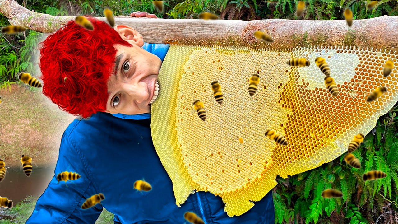 🔴Creando Miel con Mis Peligrosas Abejas Mascota🔴