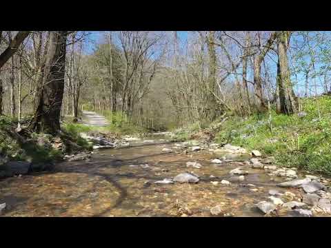 6496 Burt Burgen Rd Bradyville TN 37026