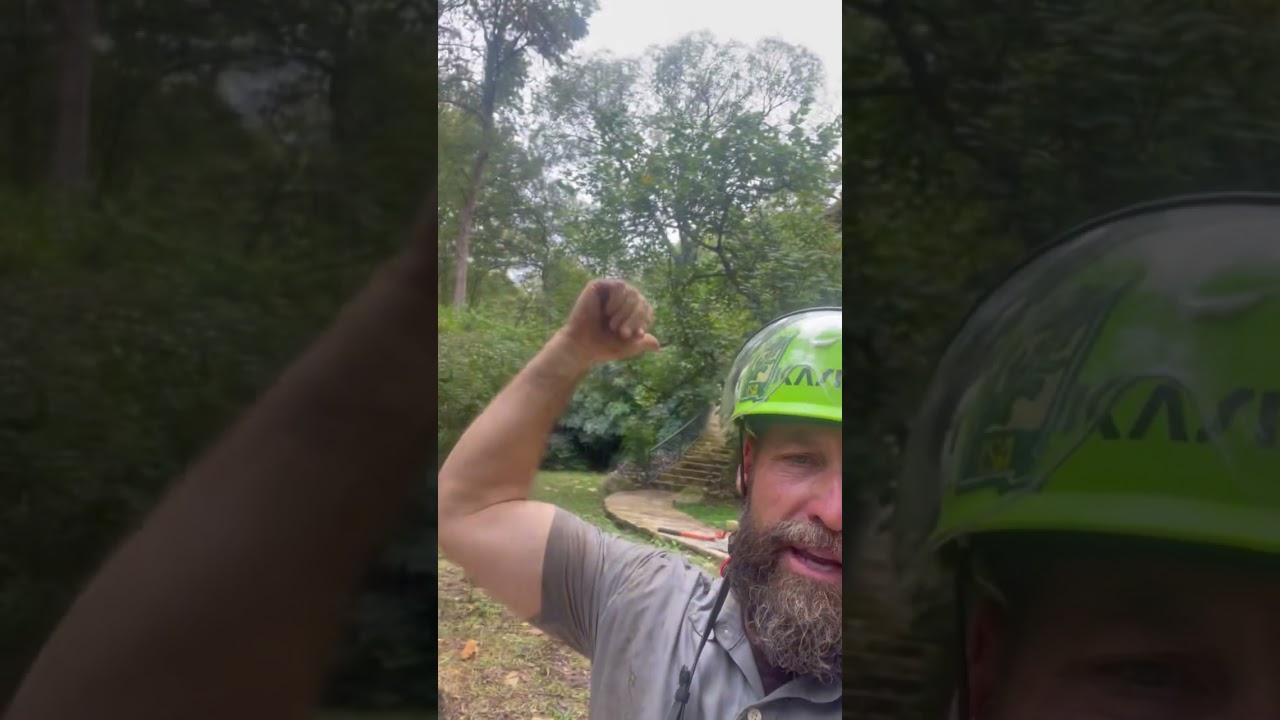 Wait! What?🌊 Scott got dunked on this tricky tree removal!