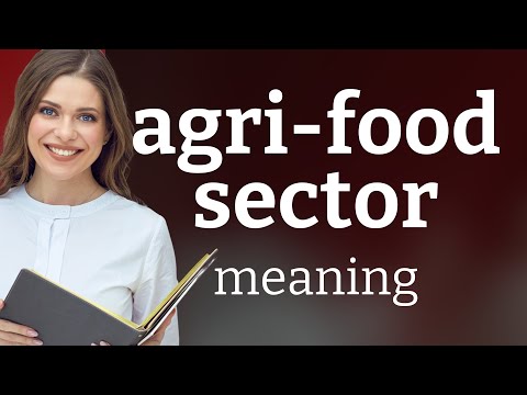 Understanding the Agri-food Sector: A Comprehensive Guide