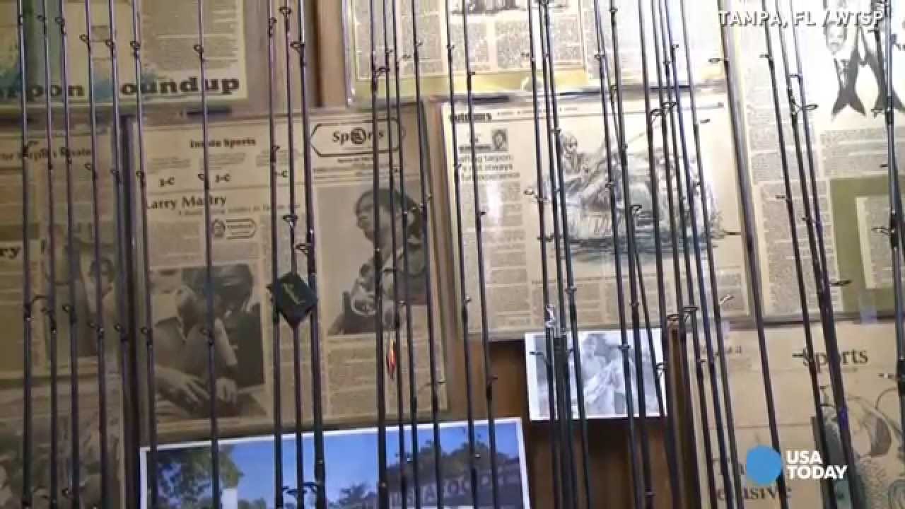 Is shark legend 'Old Hitler' real or just a fish tale?
