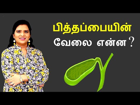 Gallbladder Explained in Tamil