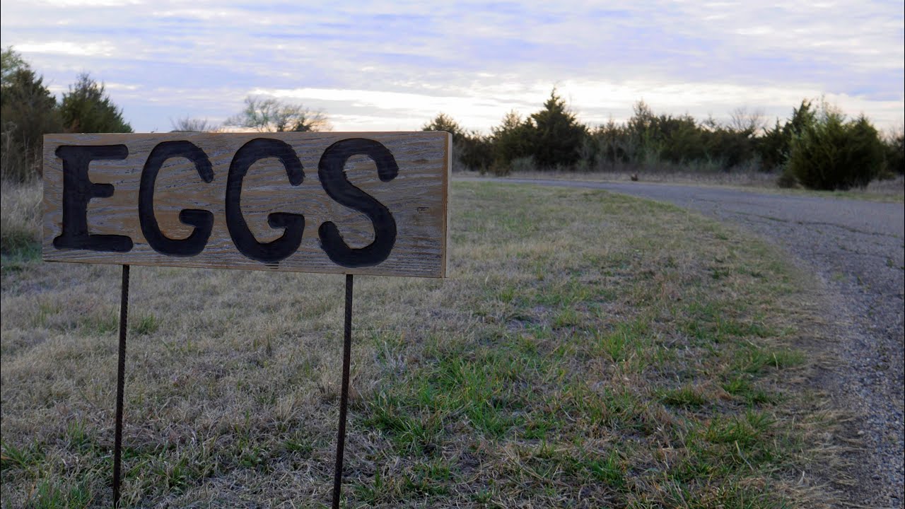 Eggs For Sale Sign