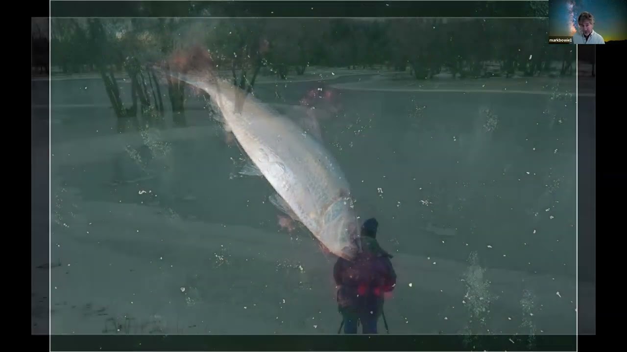 Winter Landscapes - Mark Bowie