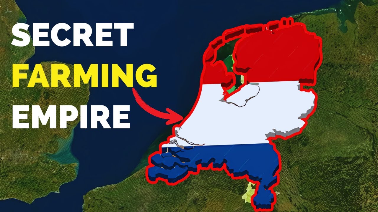 How the Netherlands Became the World’s 2nd Biggest Food Exporter
