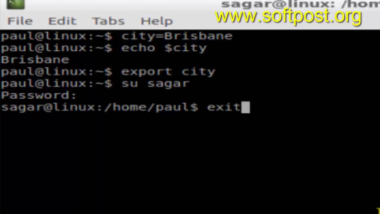 How to export environment variable in BASH shell terminal