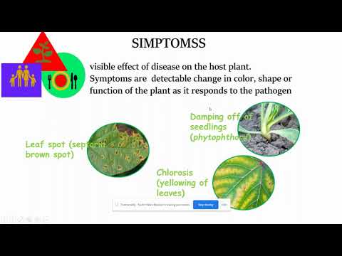 Topic II Symptoms and Signs of Plant Disease