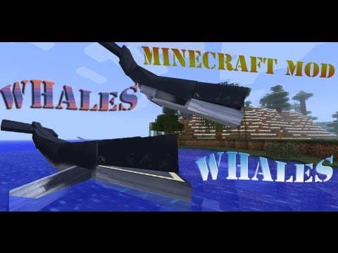 Minecraft Sea Creatures Mod | Minecrafterman