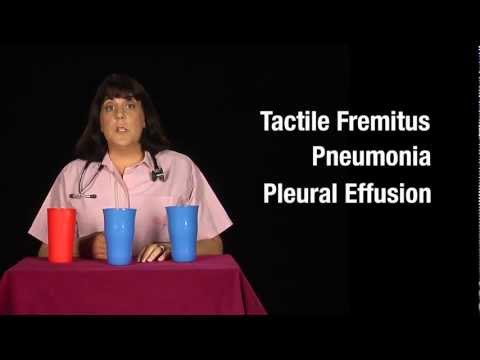 Tactile Fremitus Explained | USMLE AID