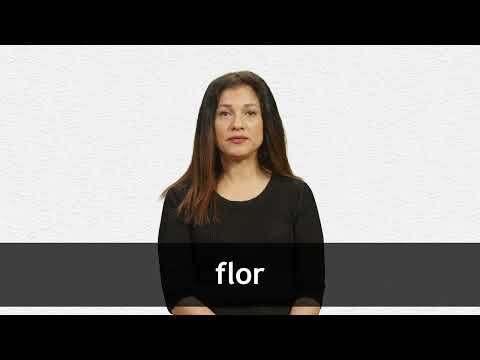 English Translation of “FLOR” | Collins Spanish-English Dictionary