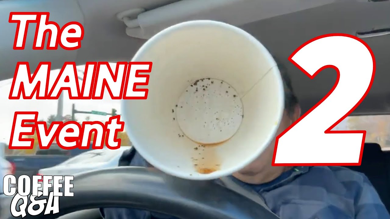 Holy Donut - Part 2 - CQA 480b