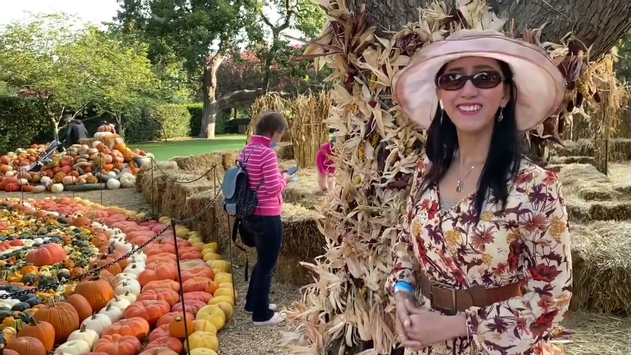 Touring The Dallas Arboretum   The Art Of The Pumpkin🎃