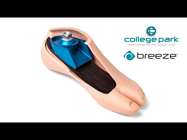Prosthetics Foot - Ossur Pro Flex Manufacturer from Bengaluru
