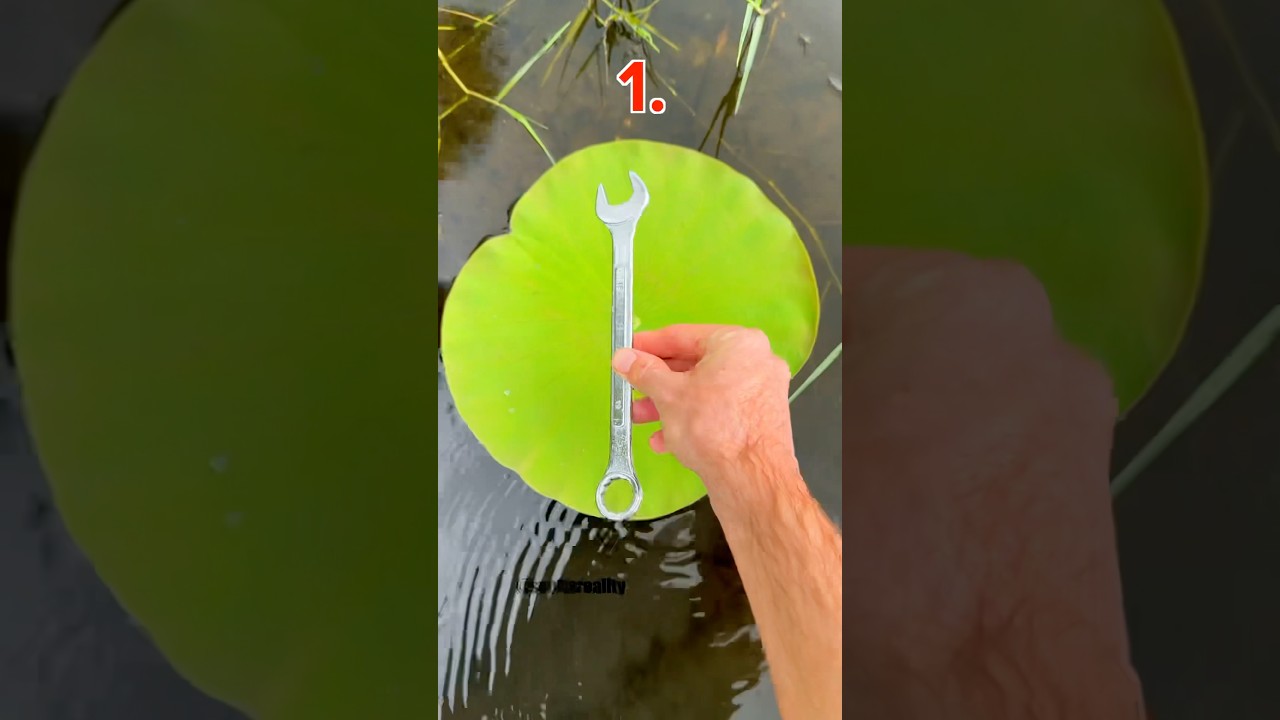 How many leaves 🍃 to sink  wrench? 🔧