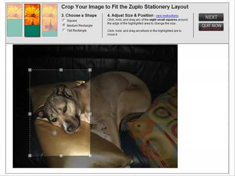 Custom Zuplo Email Stationery
