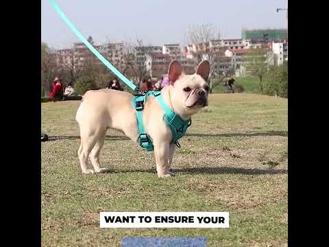 No Pull Reflective TrueLove Dog Harness