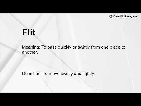 Flit Meaning