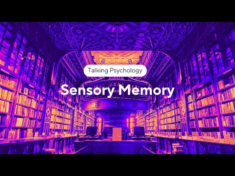 What is sensory memory?