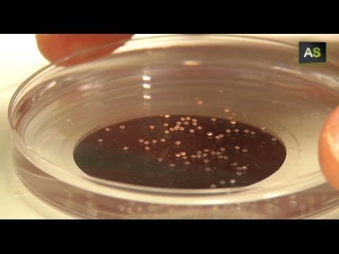 AS A new system prevents the most common side effect of antibiotics: ear damage
