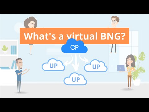 What is a Virtual BNG? | vBNG | Mettle Networks