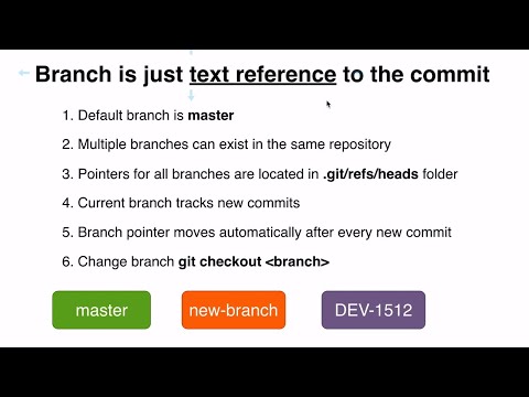 Git branches and Git HEAD: 54 What is branch in Git