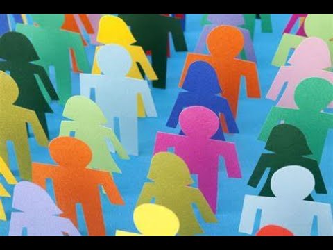 Mechanical vs. Organic Solidarity Video Reflection