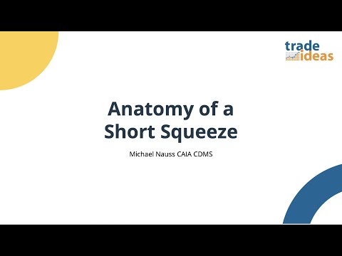 Anatomy of a Short Squeeze