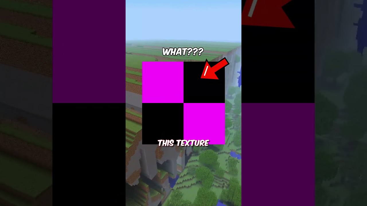 THE MISSING TEXTURE?? #minecraft