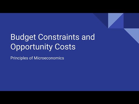 2.1 Budget Constraints and Opportunity Costs