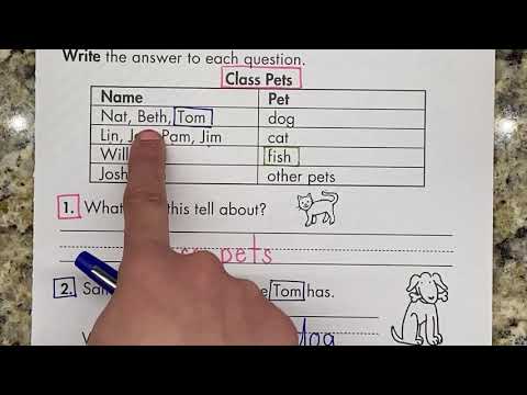 Drawing Conclusions (2nd grade)