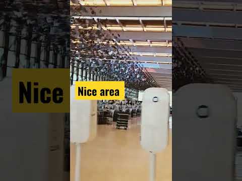 What is This Now|☺️| #KCI #trending #airports #viral #fypシ