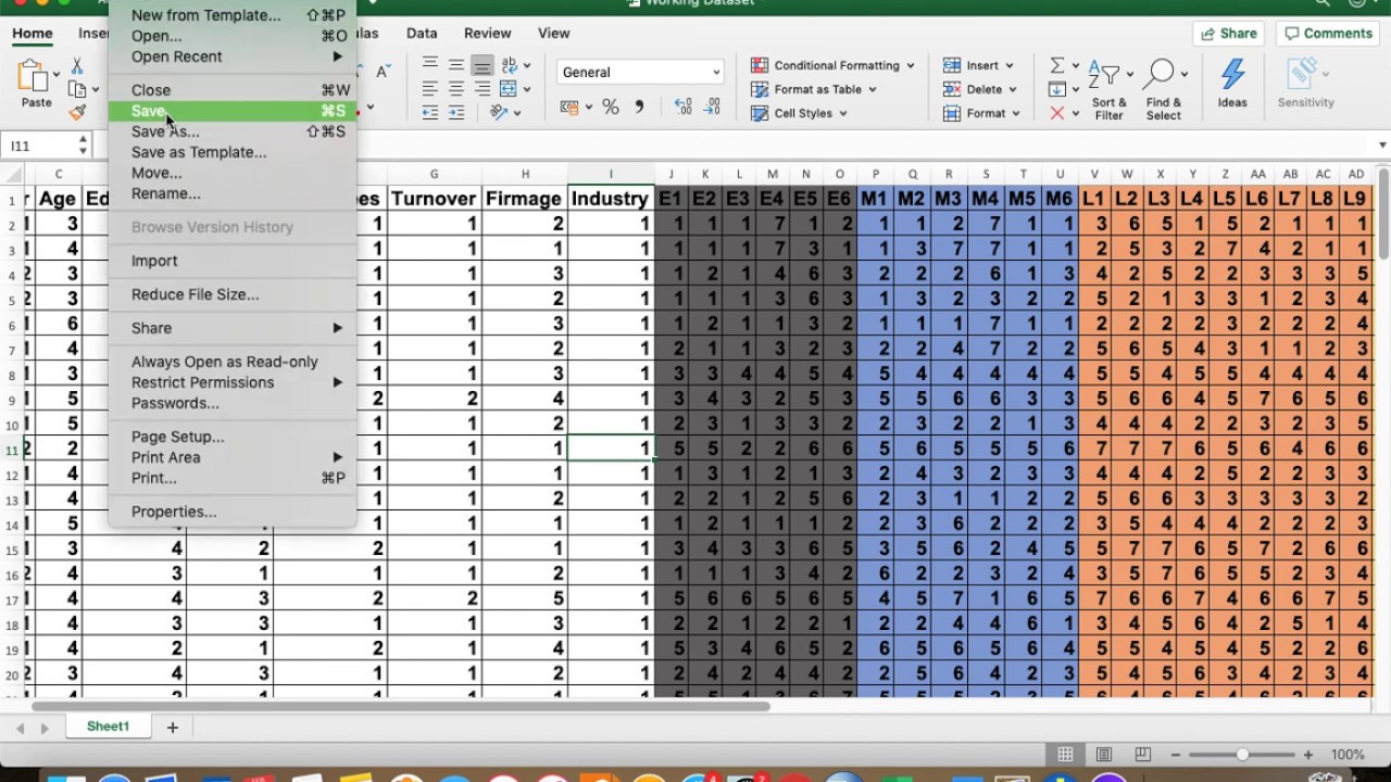 Excel to SmartPLS