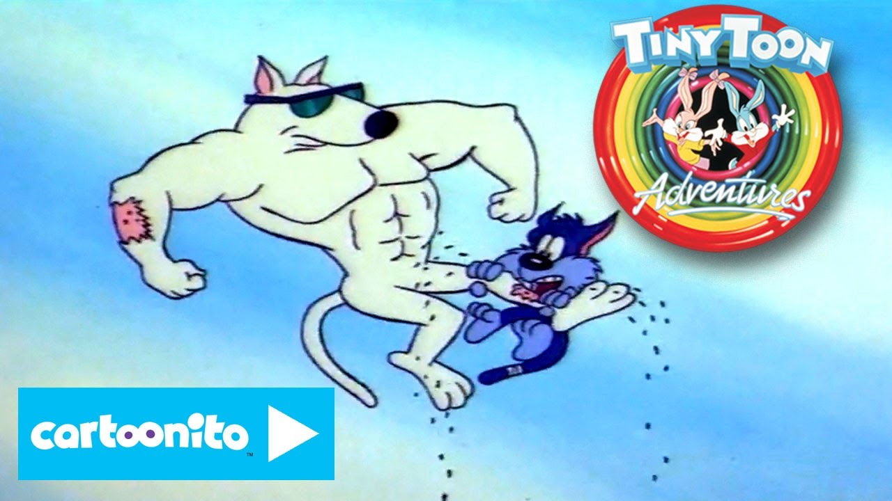 Tiny Toon Adventures | Weird Science | Cartoonito