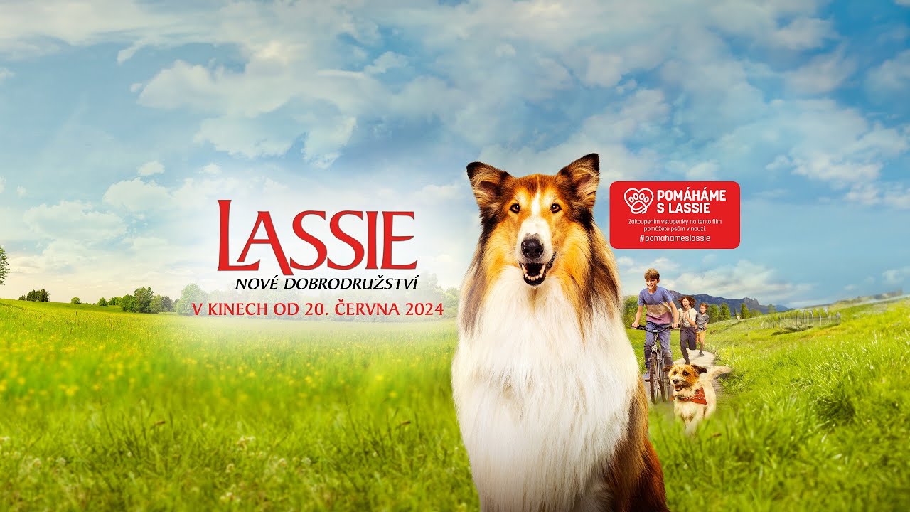 Lassie You're My Lassie Come Home.” There Would Rarely Be A Dry Eye