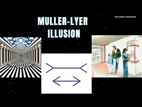 The MΓΌller-Lyer Illusion Explained | How Our Eyes Deceive Us!