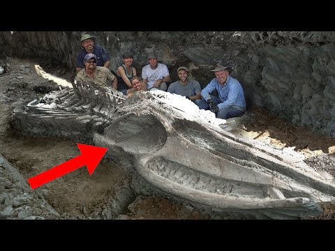 8 Most Amazing Recent Discoveries!