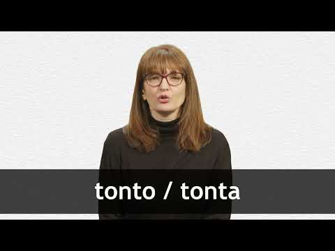 English Translation of “TONTO” | Collins Spanish-English Dictionary