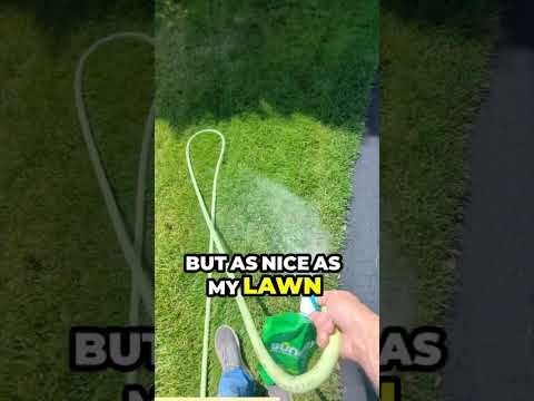 Does Sunday Fertilizer Actually Work? #review #lawn #lawncare #howto #diy