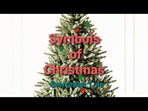 Symbols of Christmas: Evergreen Tree