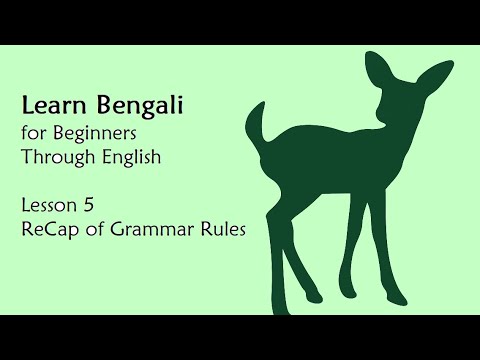 Learn Bengali through English : L5 : Recap of Bengali Grammar Rules | Important to Know Basics