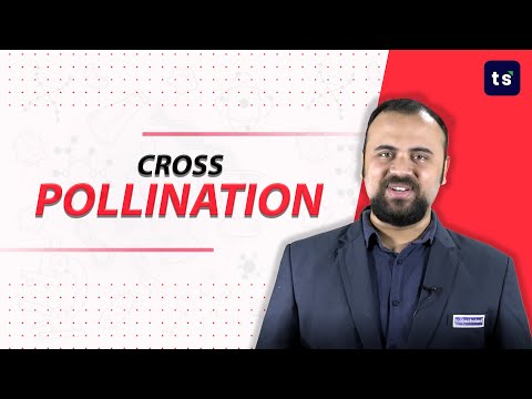 Cross pollination | Biology | Pollination | Xenogamy