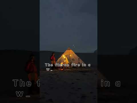 Carl Jung: The Hidden Opposite Within You #shorts