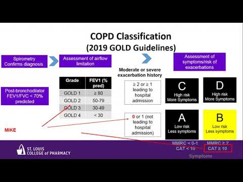 A Brief Update on the 2019 COPD Guidelines