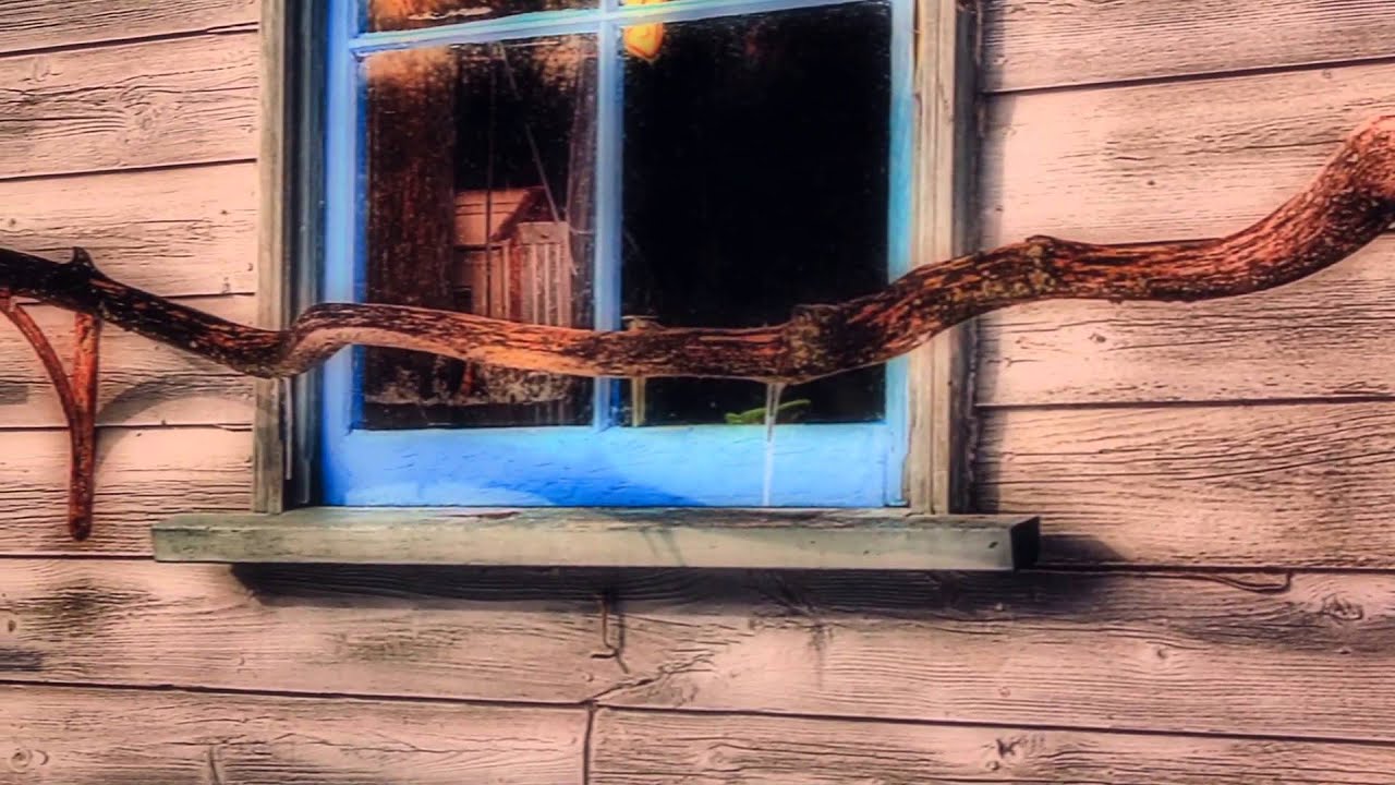 Public Art Profiles: Rotating Photography Exhibit