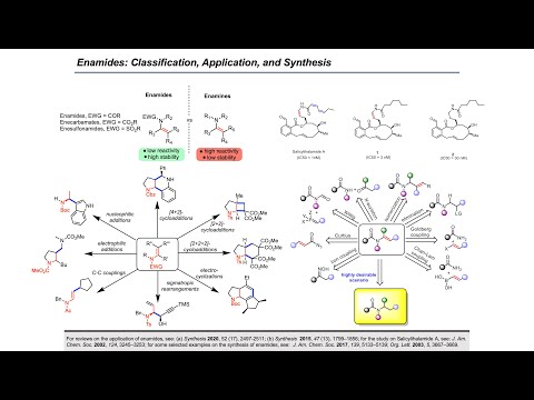 Synthesis Workshop: Synthesis of Enamides via Amide Activation with Philipp Spiess (Episode 93)