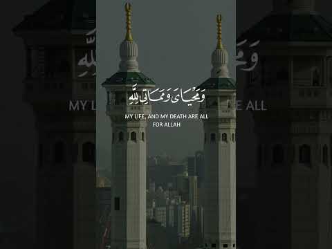 "Beautiful & Peaceful Quran Recitation with English Translation | Powerful Verses for Inner Peace"